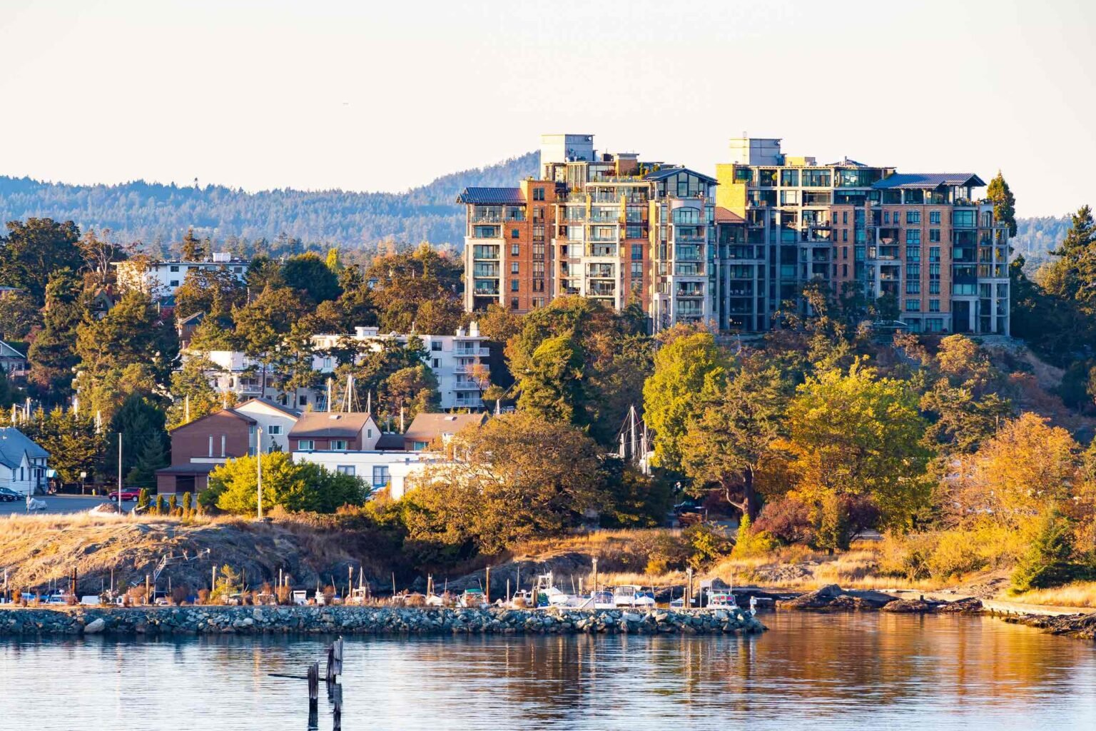 September in Victoria BC: A Local’s Guide to Fall on Vancouver Island